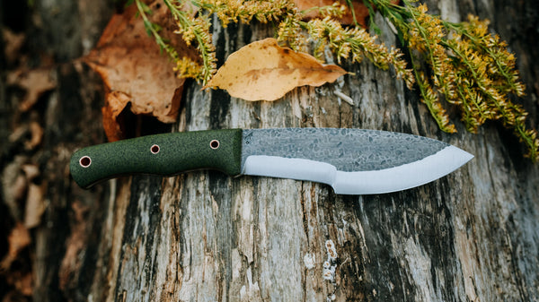 Bullshark - $600 - AA Forge